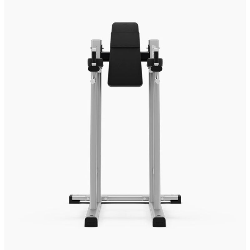 Exigo Leg Raise / Dip Station — McSport