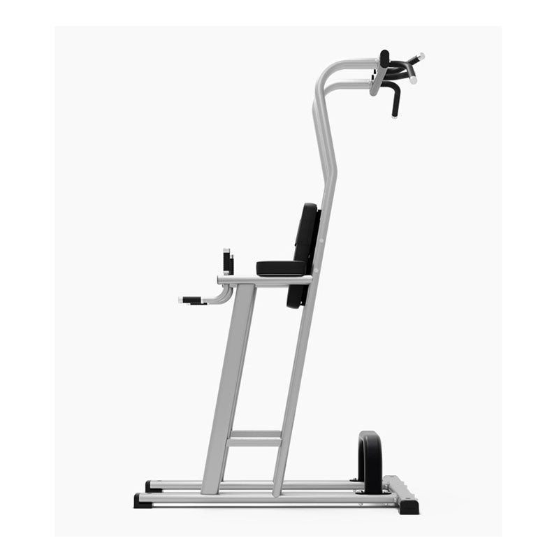 Exigo Rear Chin Dip Leg Raise Station — McSport